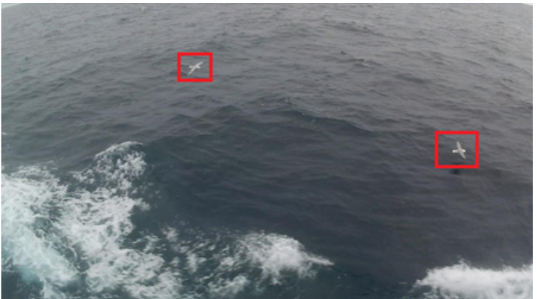 Go to waste: AI will help clean the Arctic seas of debris | Articles ...