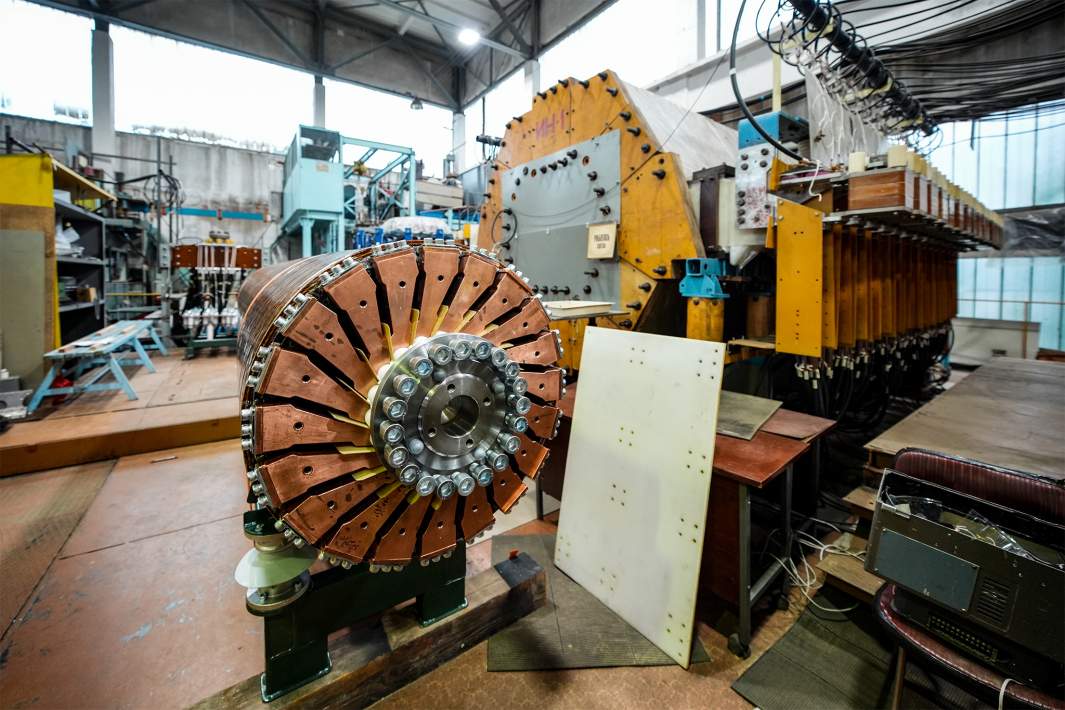 Scientists of history: how the ancient duck survived the ice age and ...