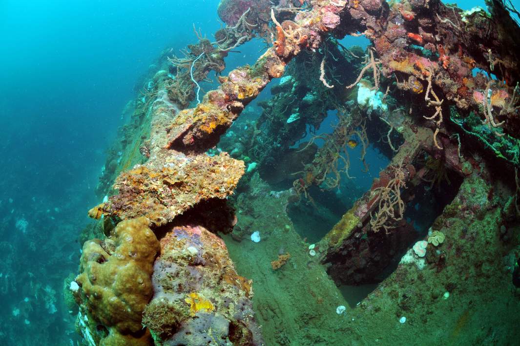 Объектив на осмотр: разработан сверхмалый телеуправляемый подводный ...