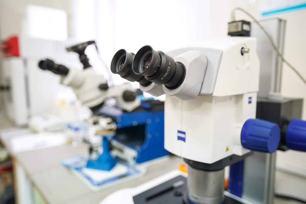 All over the body: innovative bio-ink will accelerate the creation of ...