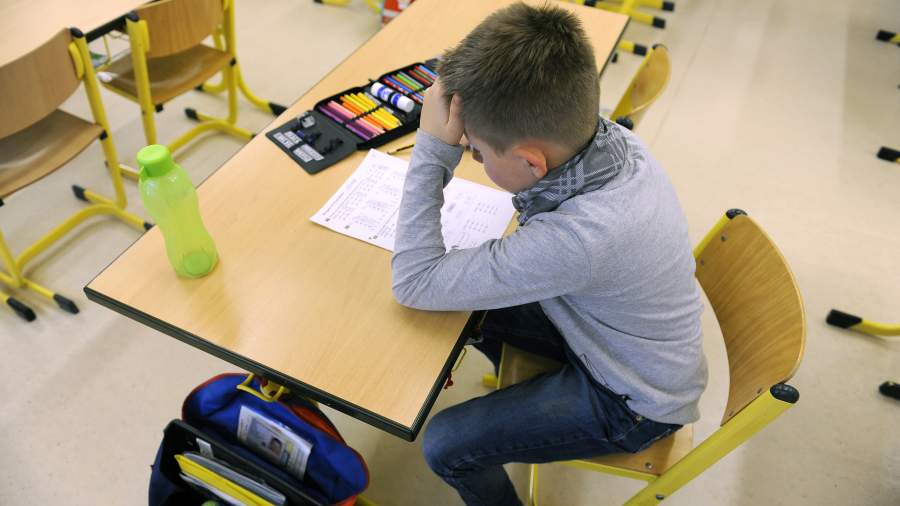 Idiocracy is coming: the quality of secondary education in Germany is ...