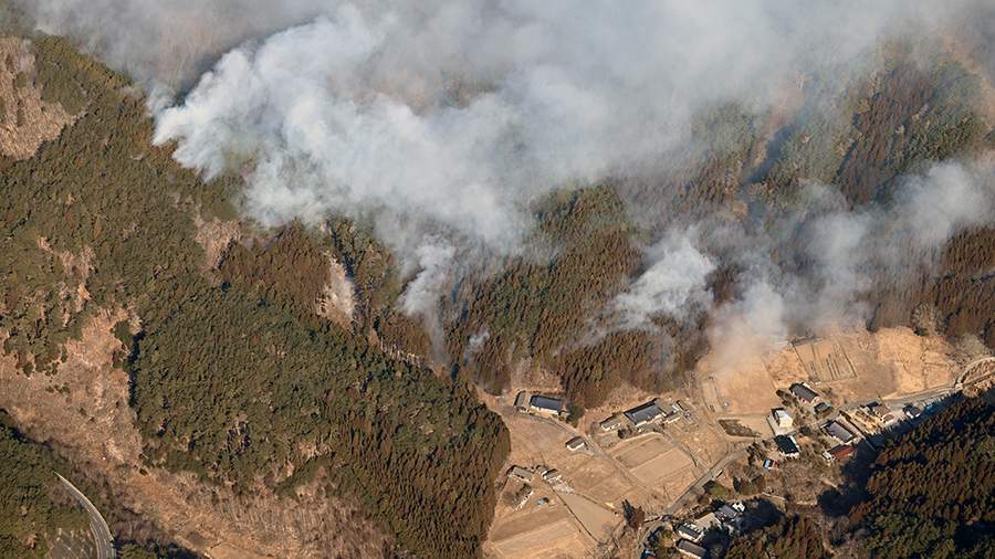 The area of a forest fire in Japan has doubled | Известия