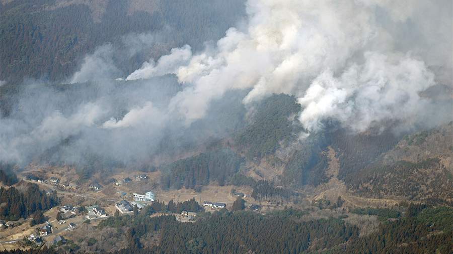 The largest forest fire in Japan in recent decades has been brought ...