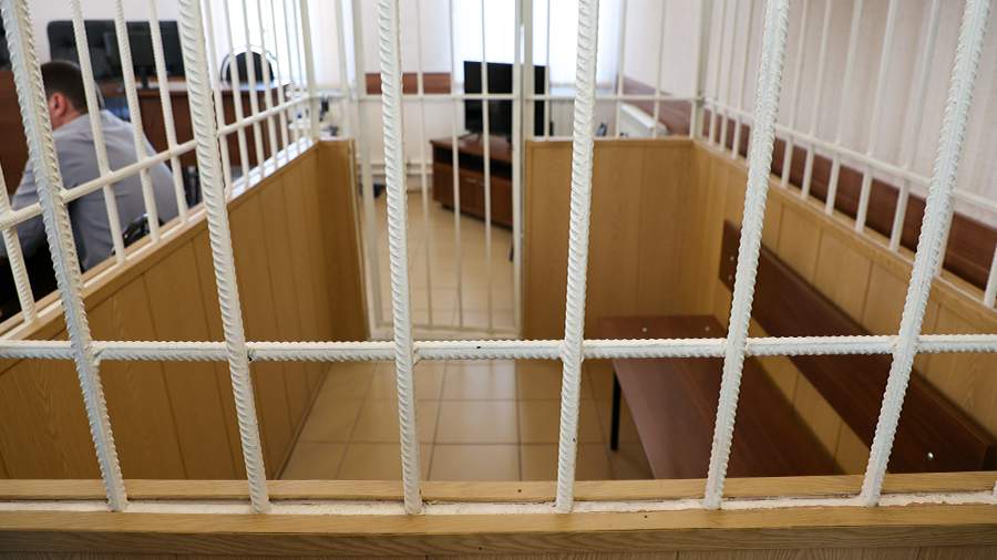 A civil aviation pilot accused of treason was sentenced to 12 years in ...