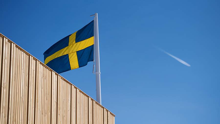 The head of the Swedish Ministry of Health lost consciousness and fell ...