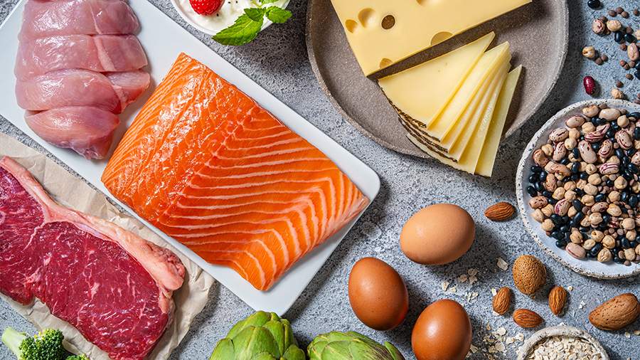 The effect of excessive protein intake on fat levels: expert opinion