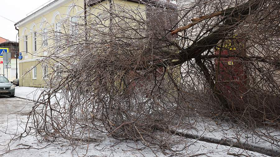 A storm warning was announced in Buryatia due to the wind | News страны ...