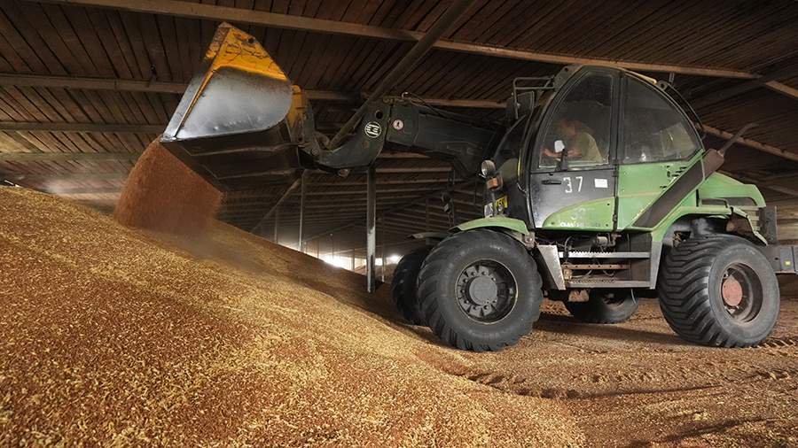Putin instructed to present farmers who have achieved record harvests ...