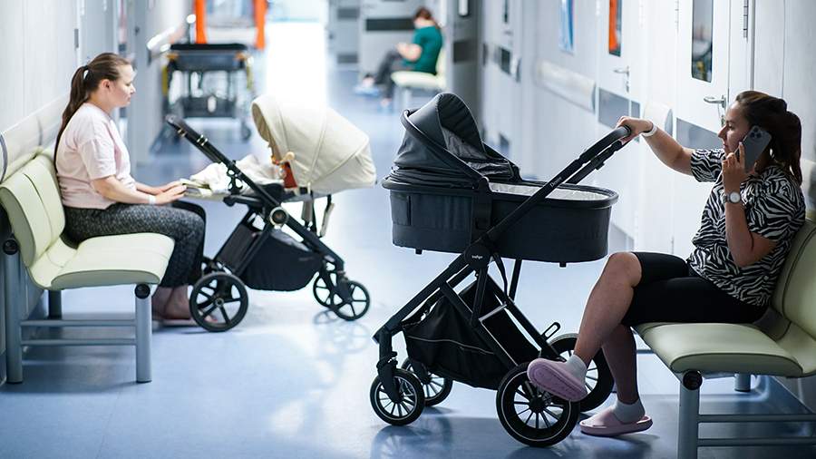 The Liberal Democratic Party proposed to pay two allowances to mothers ...