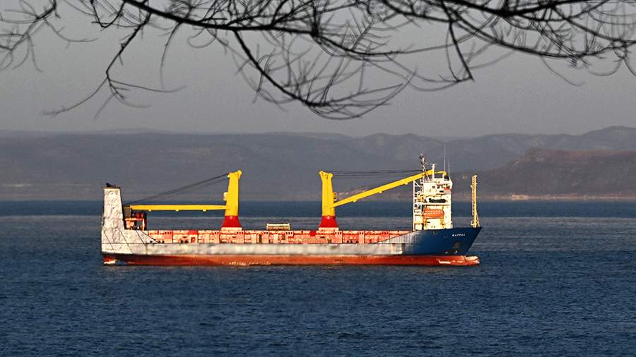 A cargo ship flying the flag of Vanuatu ran aground off the coast of ...