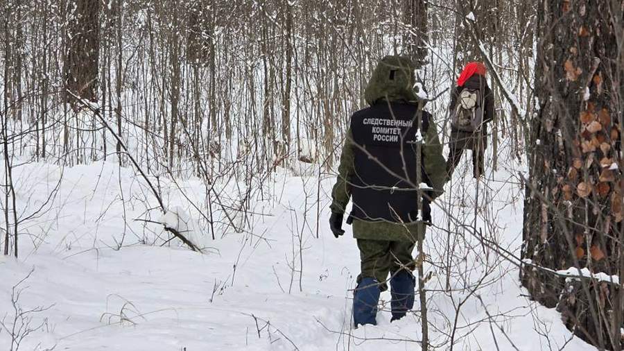 A taiga ranger has restored the route of the missing Usoltsev family ...