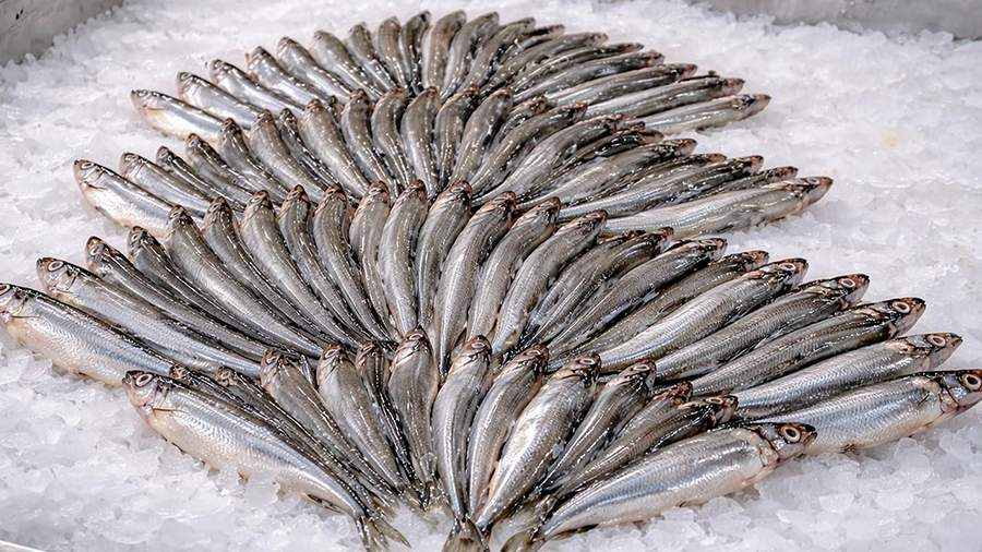 The smelt season has begun at the Moscow — on-the-Wave fish markets ...