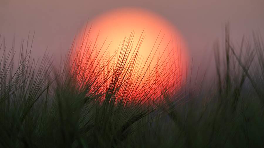 Summer Solstice day: why this day is considered the most energetically ...