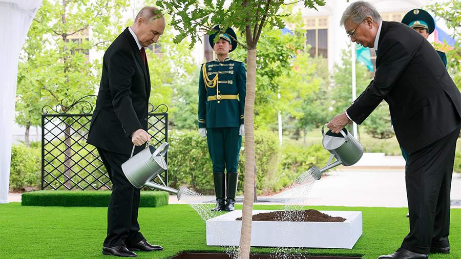 Putin and Tokayev planted a tree on the Alley of Eternal Friendship in ...