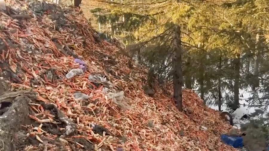 Дело о добыче краба на 1 млрд рублей в Хабаровском крае: что известно
