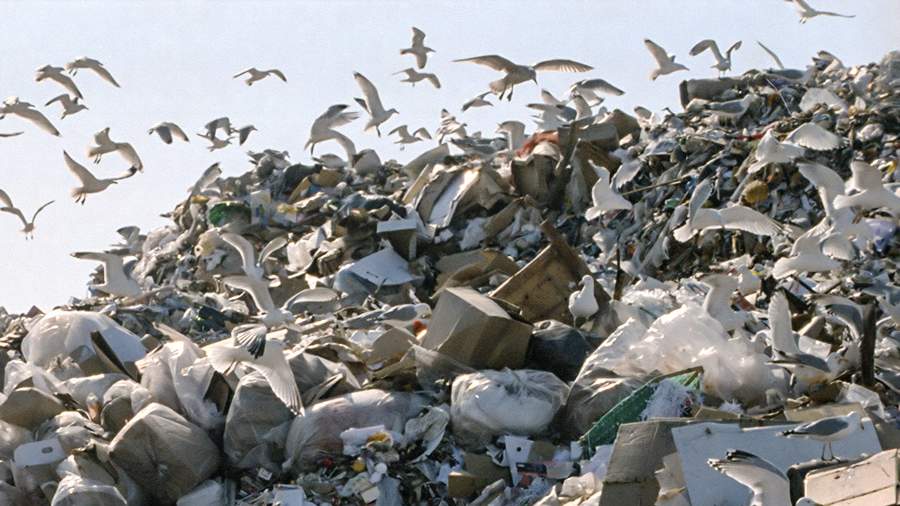 The Ministry of Natural Resources and Environment named the number of ...