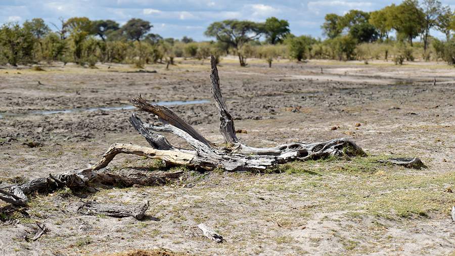 Australian scientists have announced the beginning of the El Nino ...