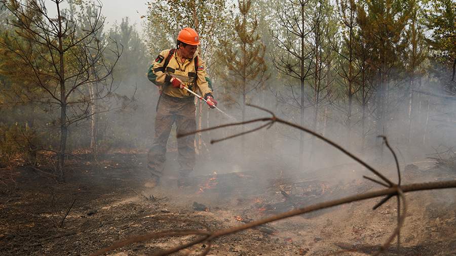 A high-alert mode was introduced in the Angara region due to forest ...